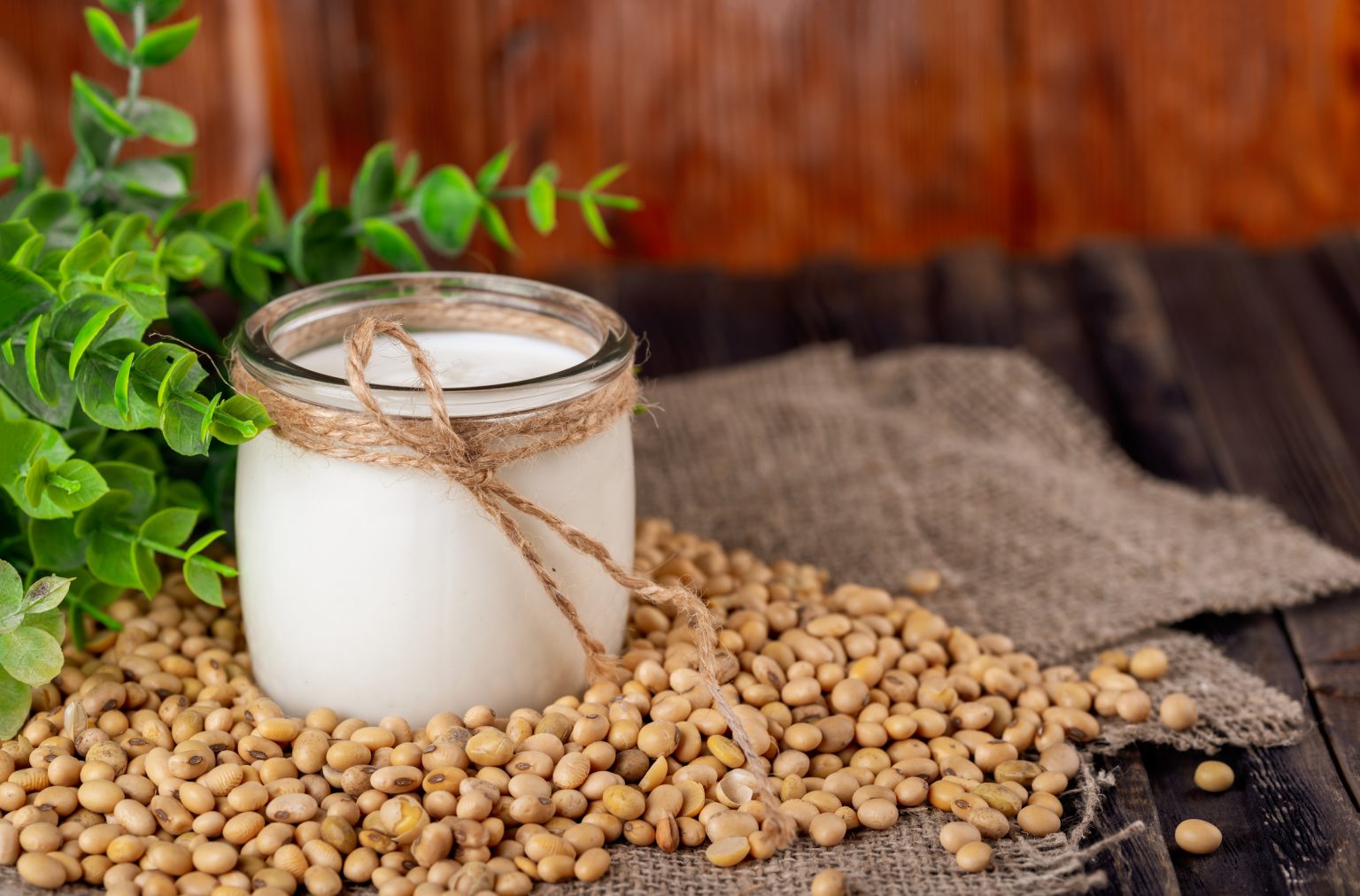 Homemade Soy Milk Yogurt — Plant-Based, Creamy, and Surprisingly Easy ...